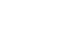 Script Coffee | Lebanon’s #1 Specialty Coffee Roaster & Coffee Shop